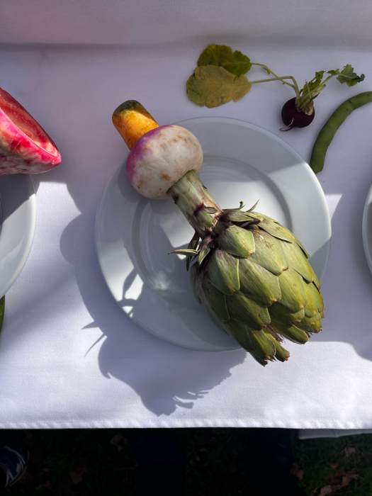 Burberry Vegetable Orchestra | Bompasandparr